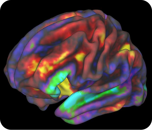 ABCD Study Year-2 Scheduling